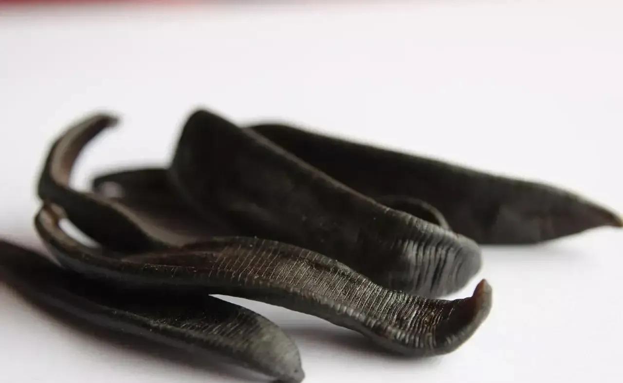 The leech, the secret of traditional Chinese medicine, is used for ...