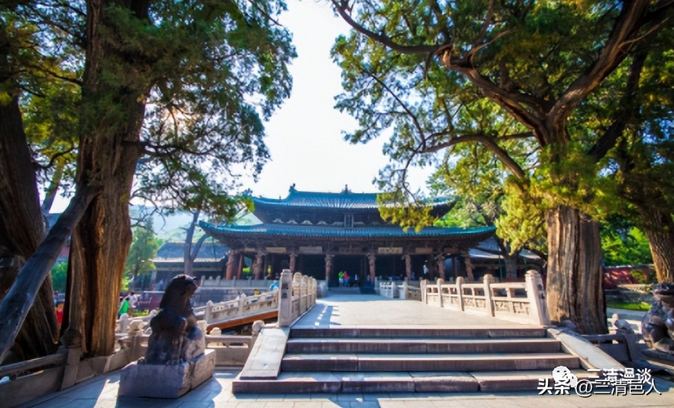 Why is the Jin Temple respected by the Tang family as the main ...