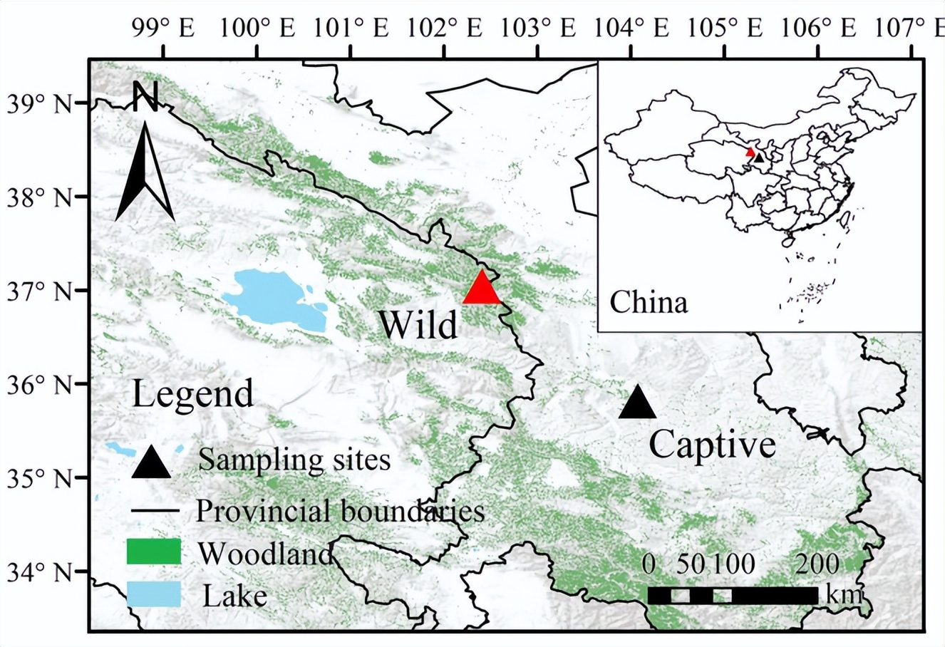 Different environmental conditions regulate the intestinal flora of ...