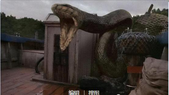 Guinness World Records Snake - iMedia