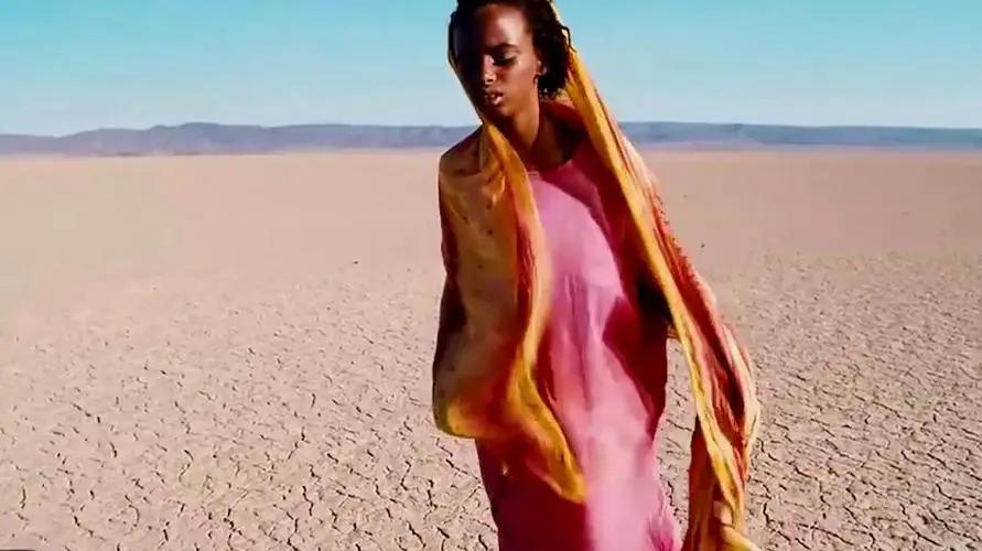 The movie "Desert Flower": a woman's courage and growth, revealing the ...