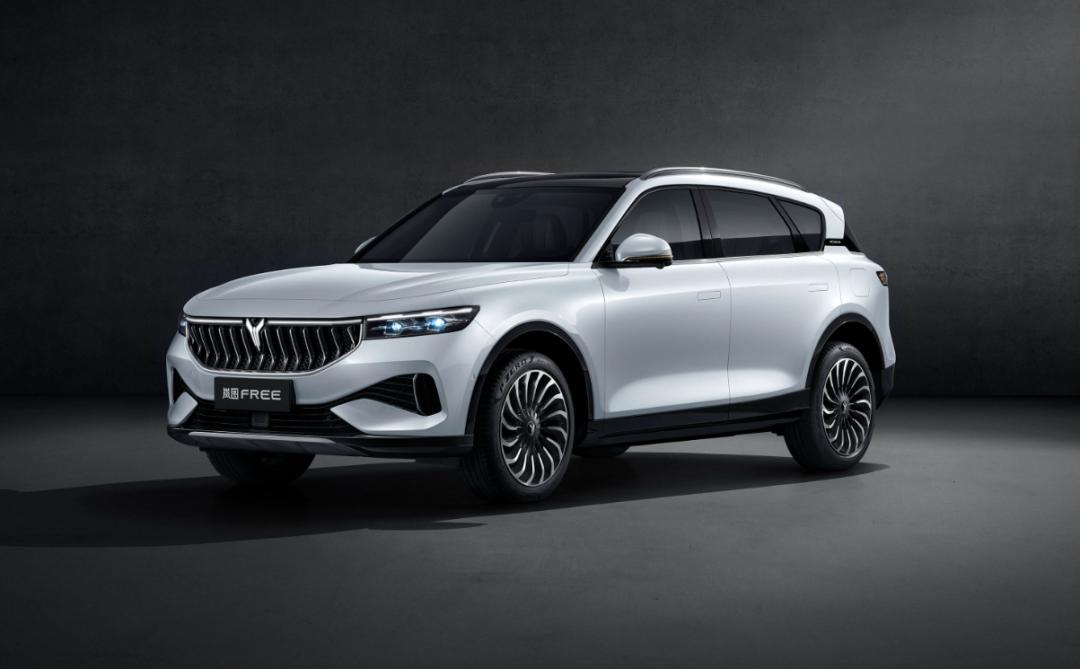 A Chinese brand SUV worth more than 300,000 yuan is doomed to fail if ...