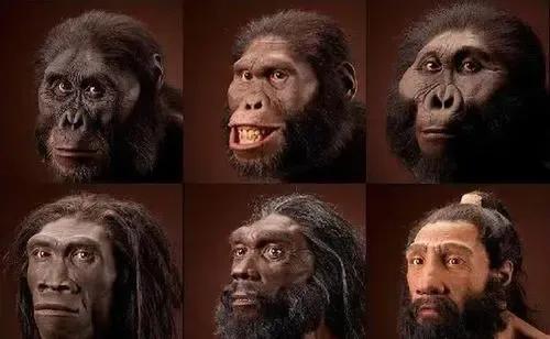 earliest human ancestor - iNEWS
