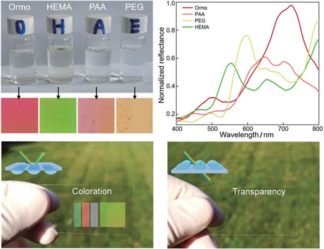 Looking back on the research hotspots of structural color printing in ...