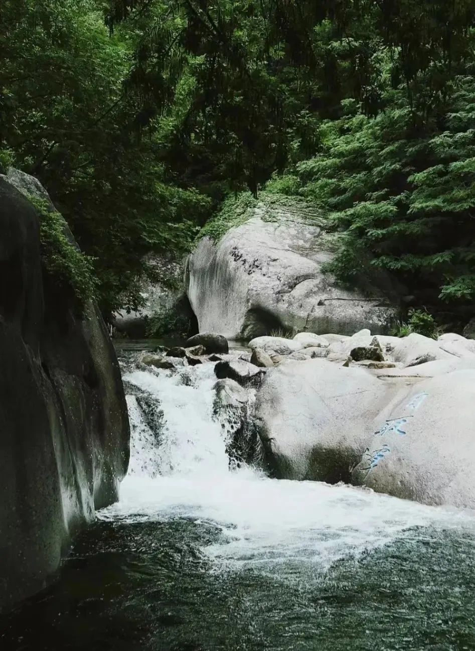 In the forest park, meet the spring scenery of the island city - iMedia