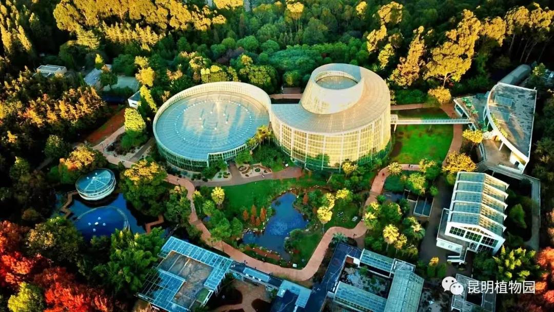 Let's go to the "Fuli Palace" in the Kunming Botanical Garden to ...