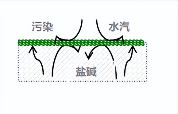 How to prevent the wall from returning to alkali?Just look at this - iNEWS