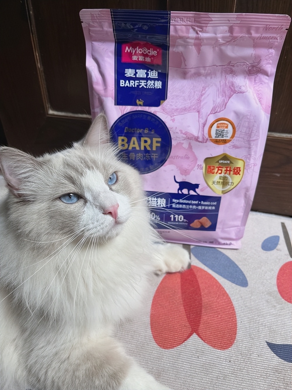 Do Cats Eat Raw or Ripe Cucumbers? Uncovering Cats' Dietary Preferences ...