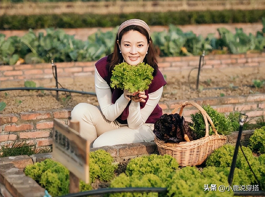 45-year-old CCTV host Liu Fangfei is picking vegetables on her own farm ...