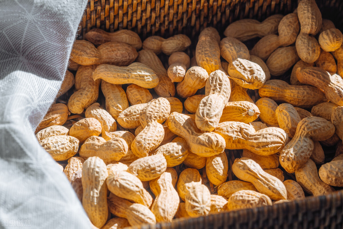 In autumn, the peanuts are ripe, and the whole body is full of ...