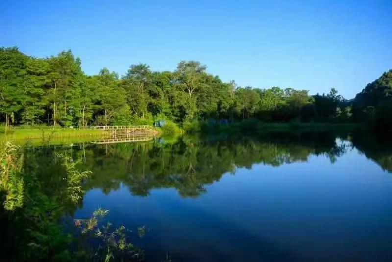 2022 Green Ting Literary Society "Everyday Poetry Arrives" Issue 219 ...