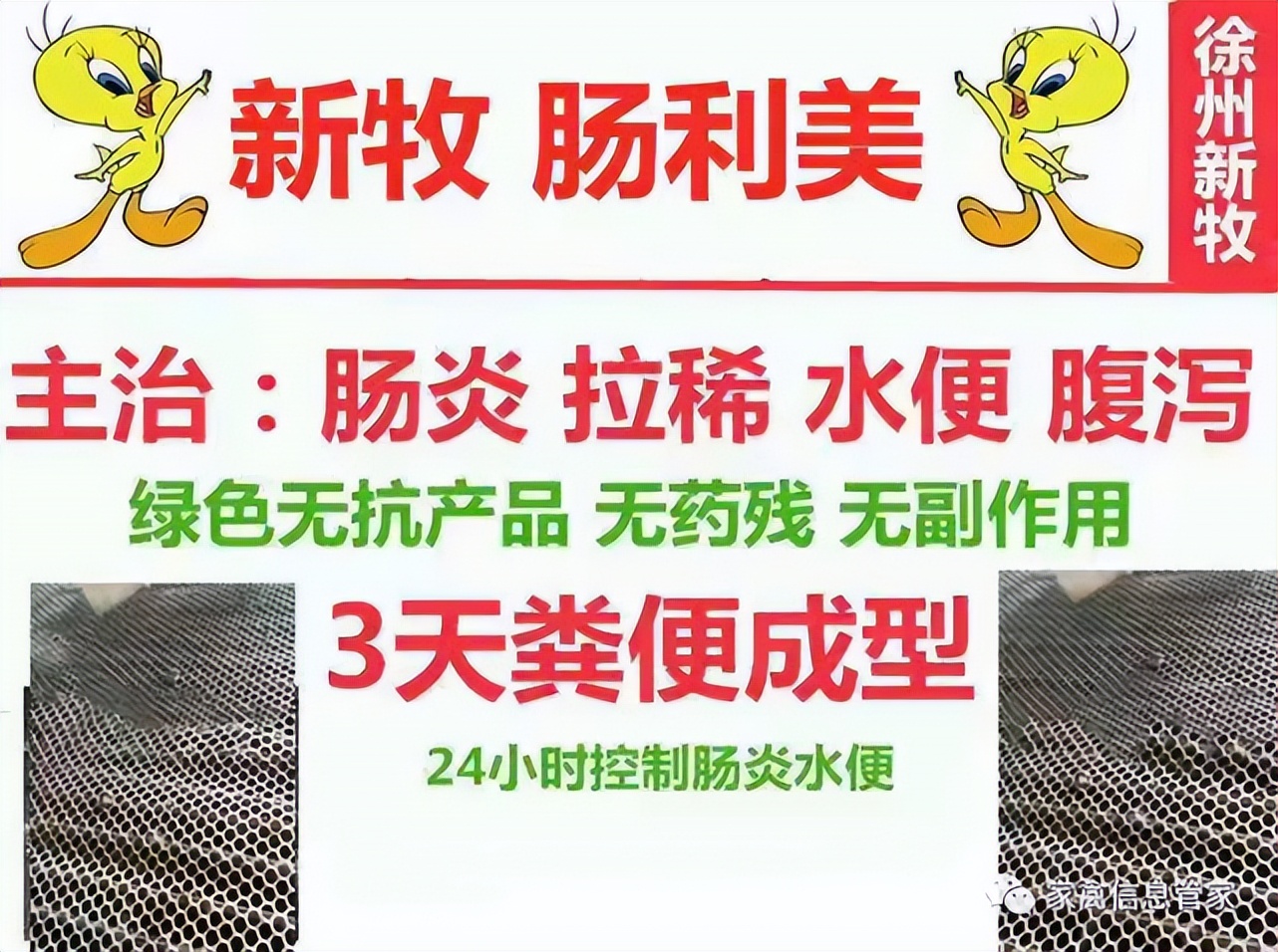 How to solve the high feed-to-meat ratio caused by diarrhea in ducks ...