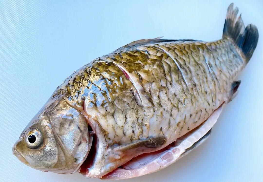 On the ranking list of these 6 "freshwater fish purines", crucian carp ...