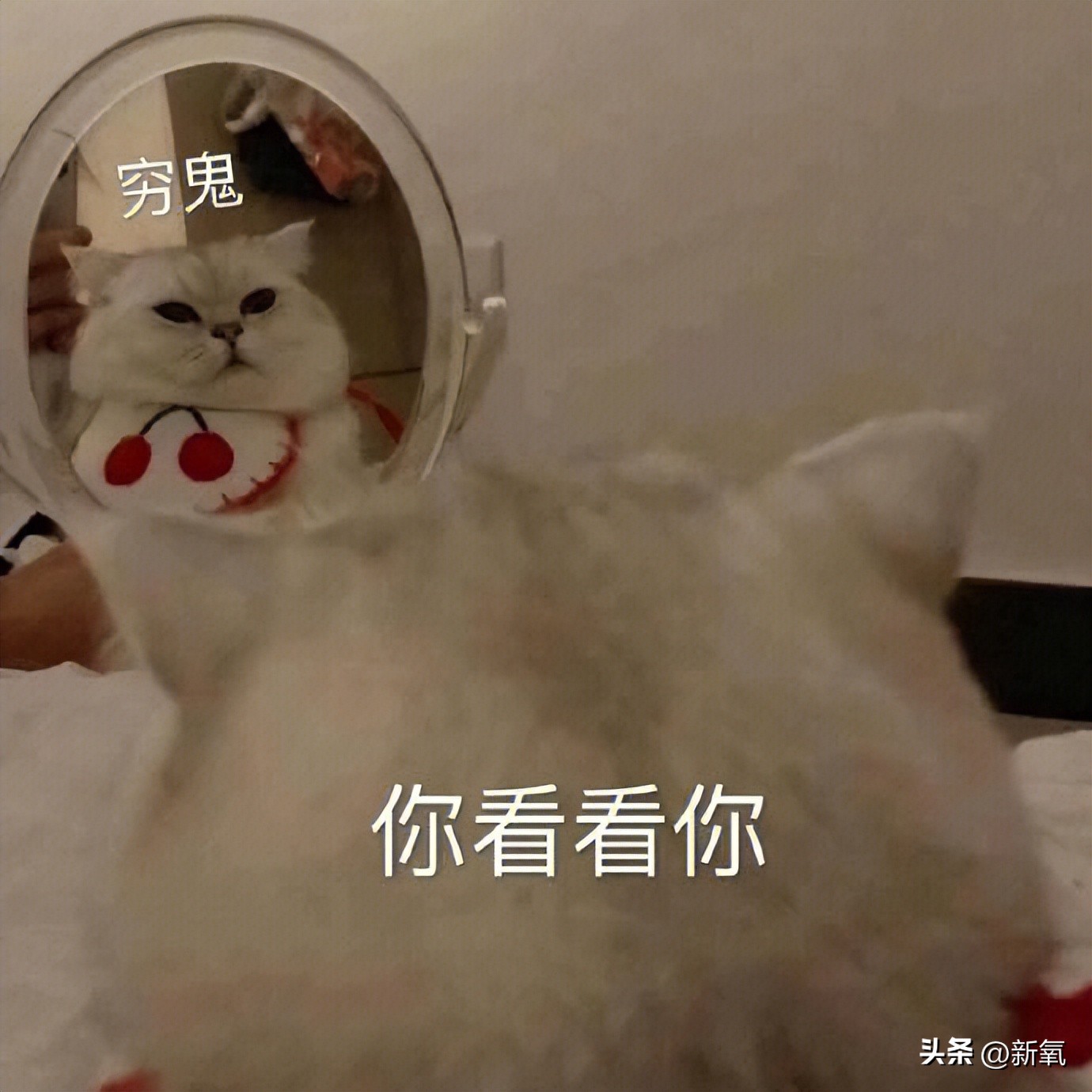 Sister Jin showed off 30,000 old clothes and was ridiculed by the group ...