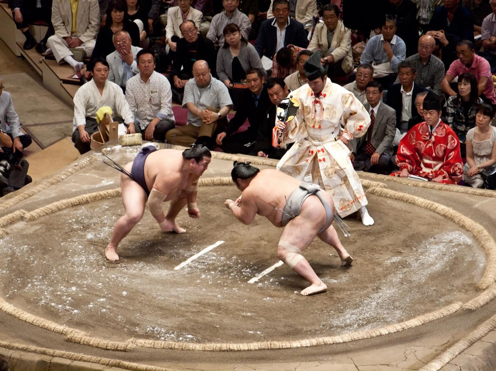Do you need to lose weight after retiring from sumo wrestling in Japan ...