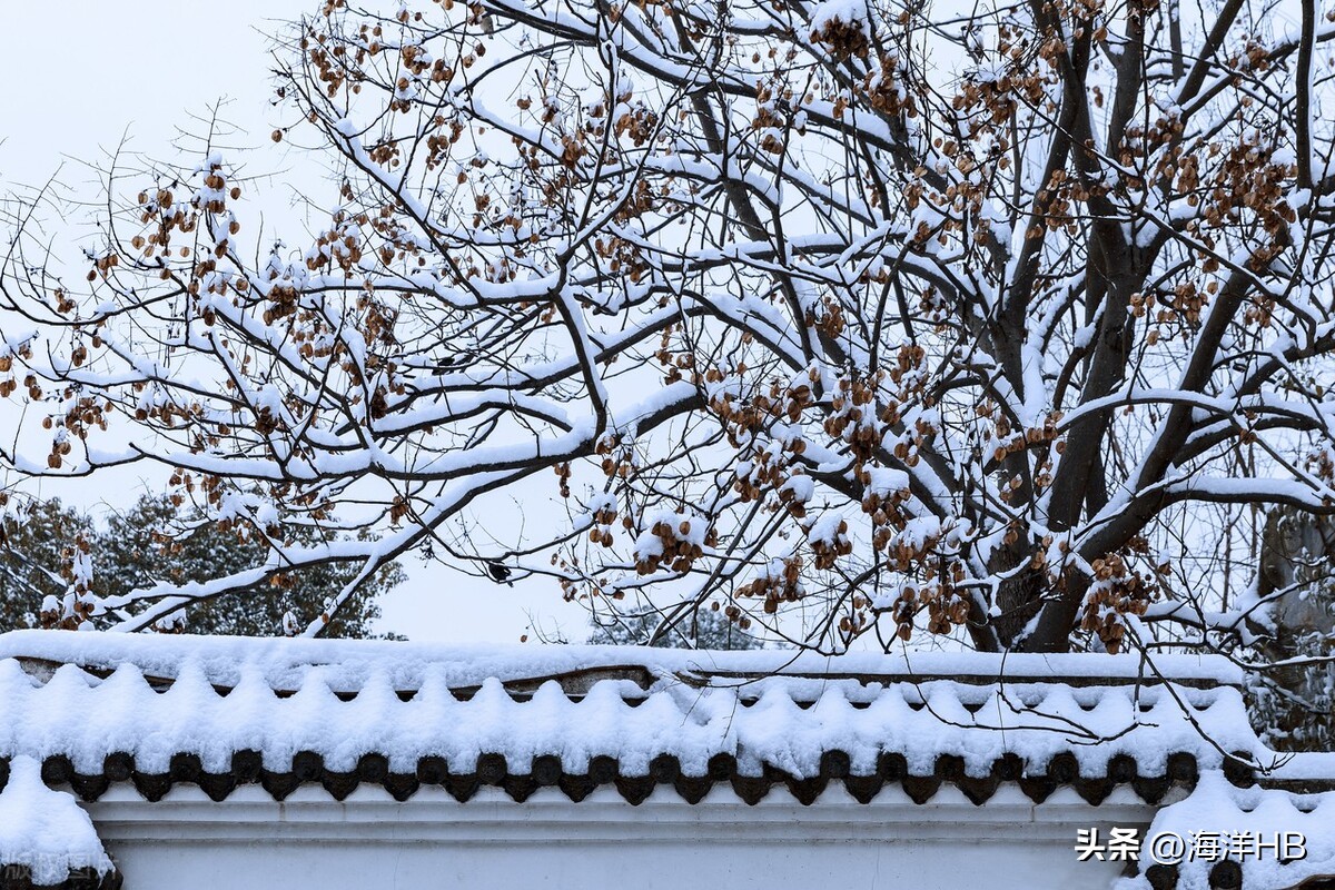 How to take pictures in snowy days, record a snow in Wuhan in 2023 - iMedia