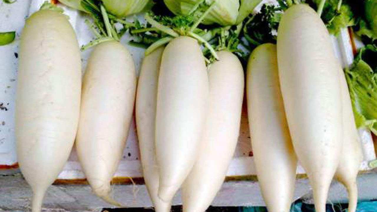 "Eating radishes and ginseng in autumn", sharing the practice of 3 ...