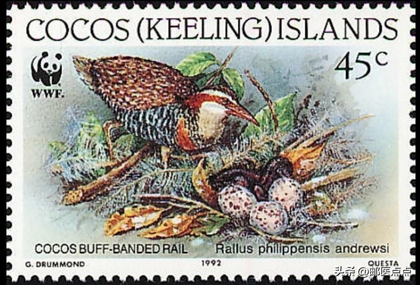 World Endangered Wildlife Stamps (13) - iMedia