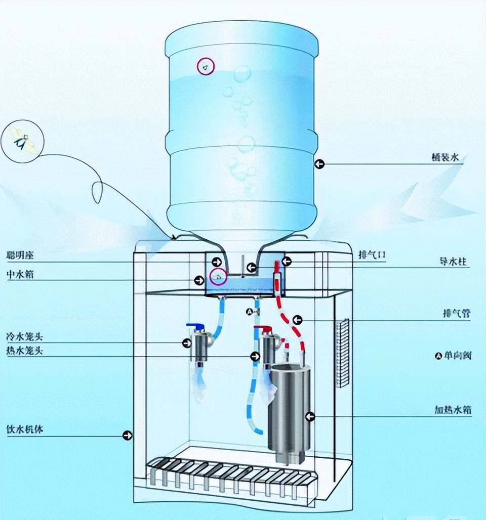 Water dispenser: open the door for healthy drinking water - iNEWS