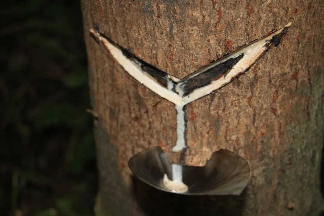 Changping Intangible Cultural Heritage ① | Ming Guzhai carved lacquer ...