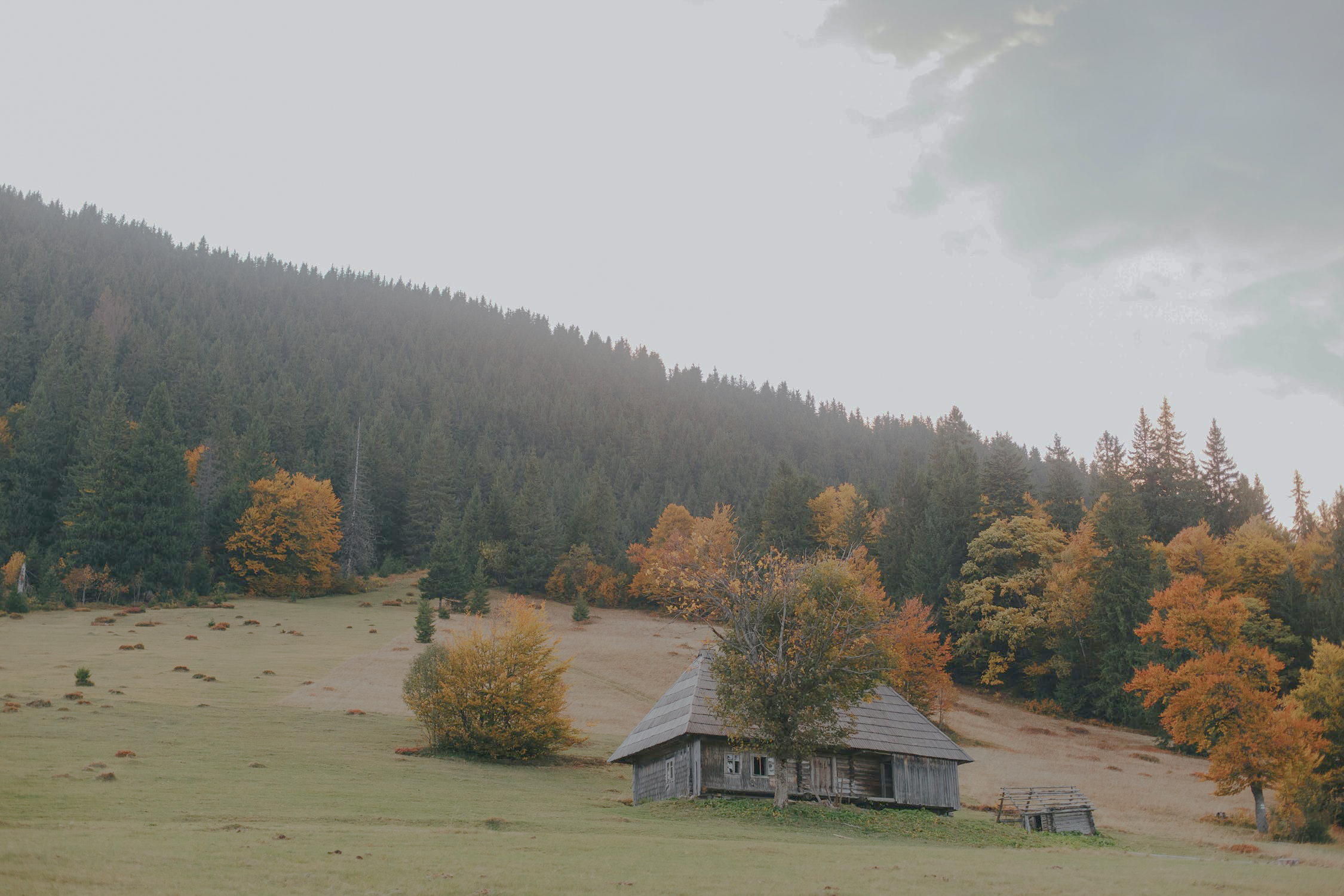 Do you know several techniques to improve the transparency of ...