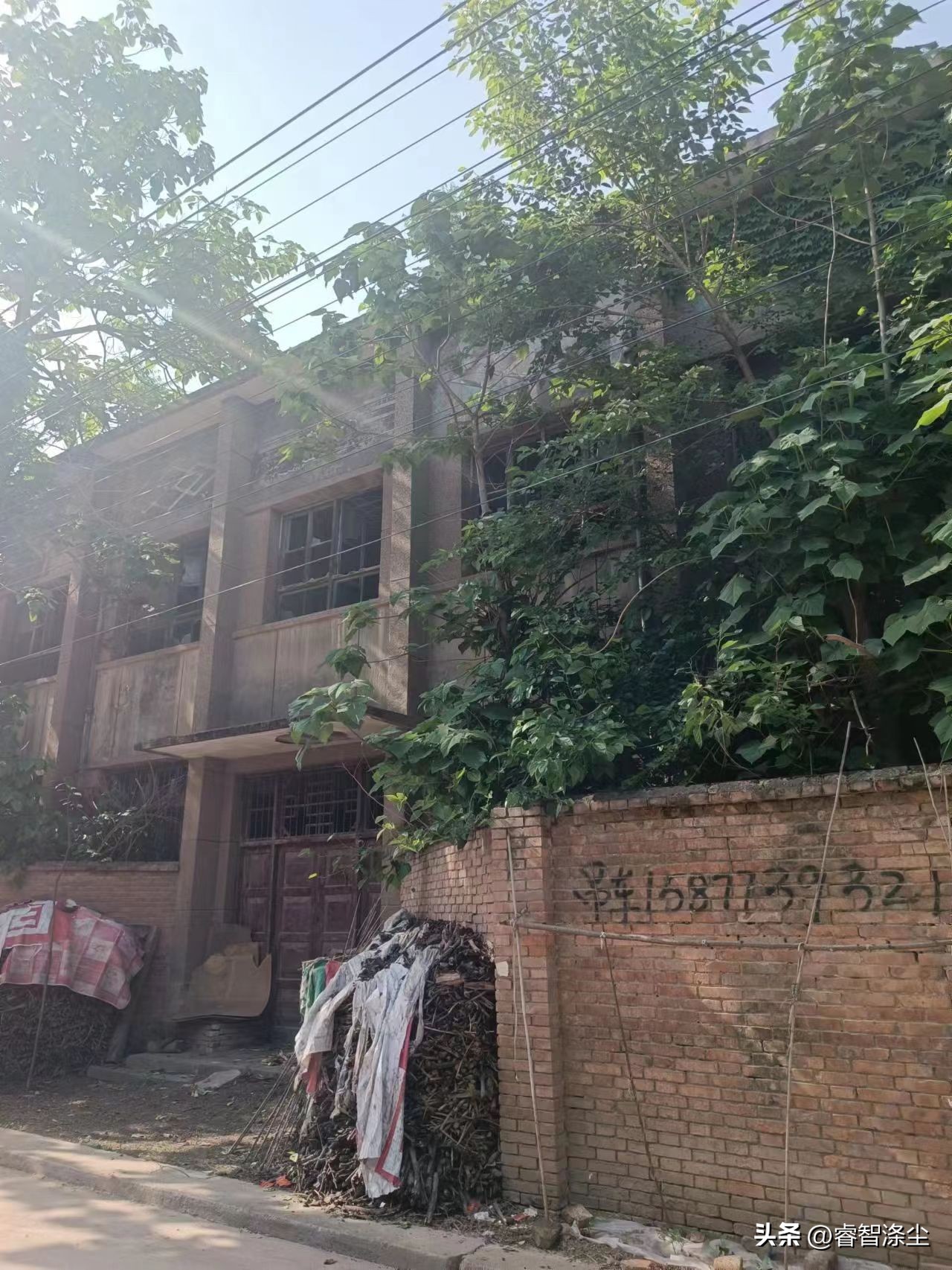 The Forgotten Yakuya Theater - iNEWS
