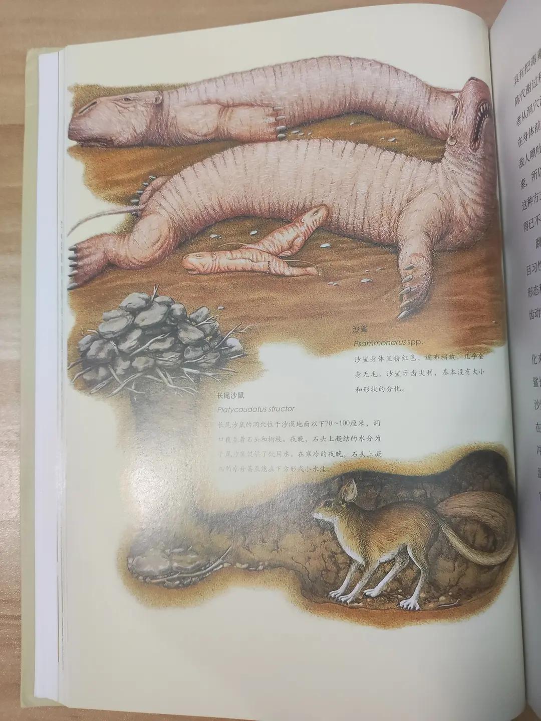 "After Human Extinction: Animals of the Future World" - iMedia