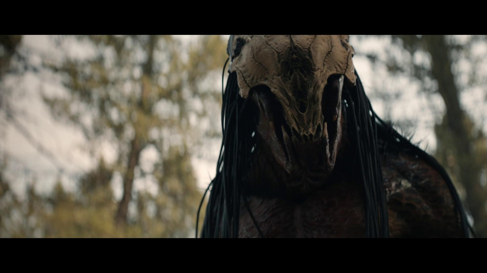 Predator - Prey: Is the Predator really watery in this episode? - iNEWS