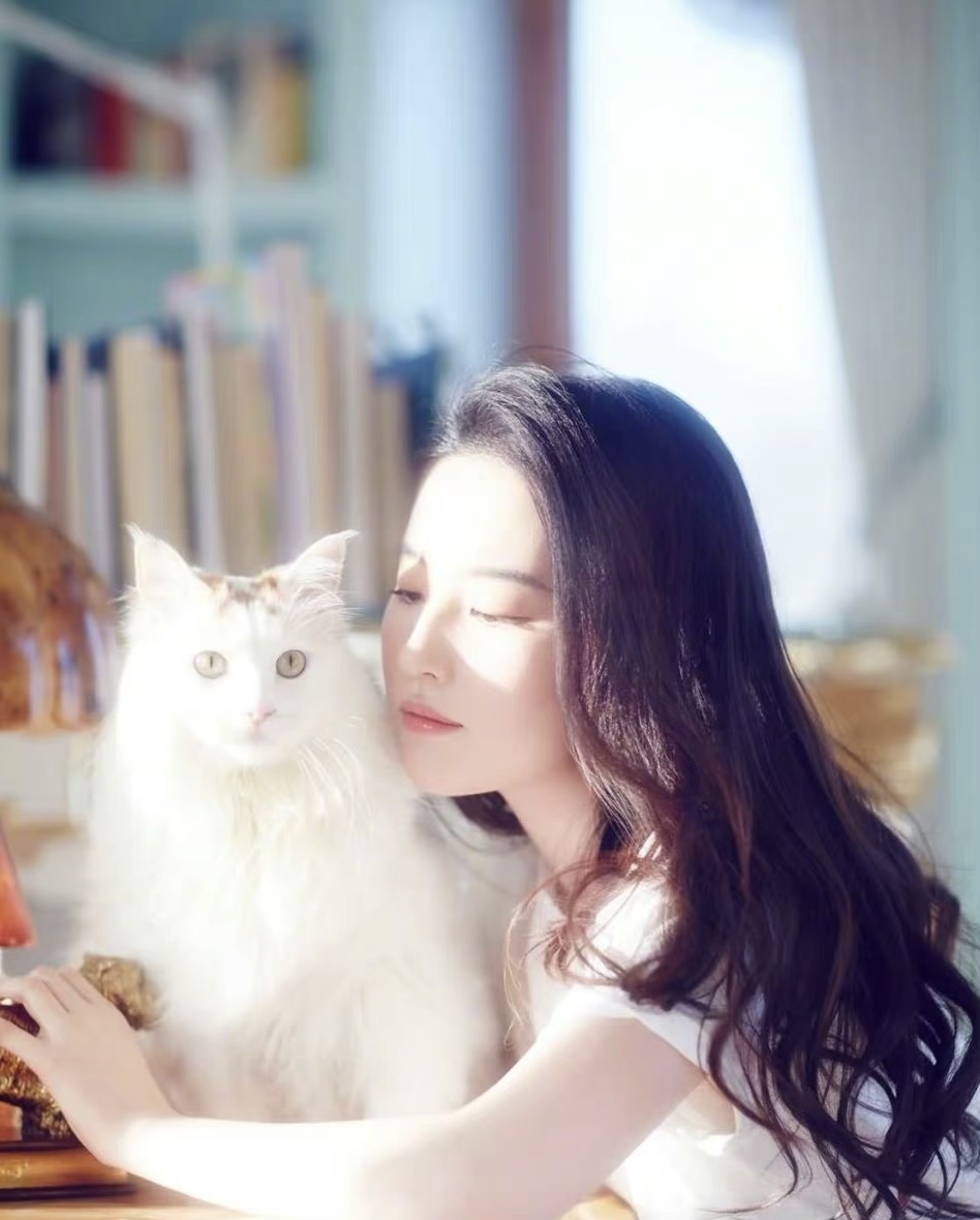 Male star cat slave attributes are full, Lu Han, Xiao Zhan, Hu Ge ...