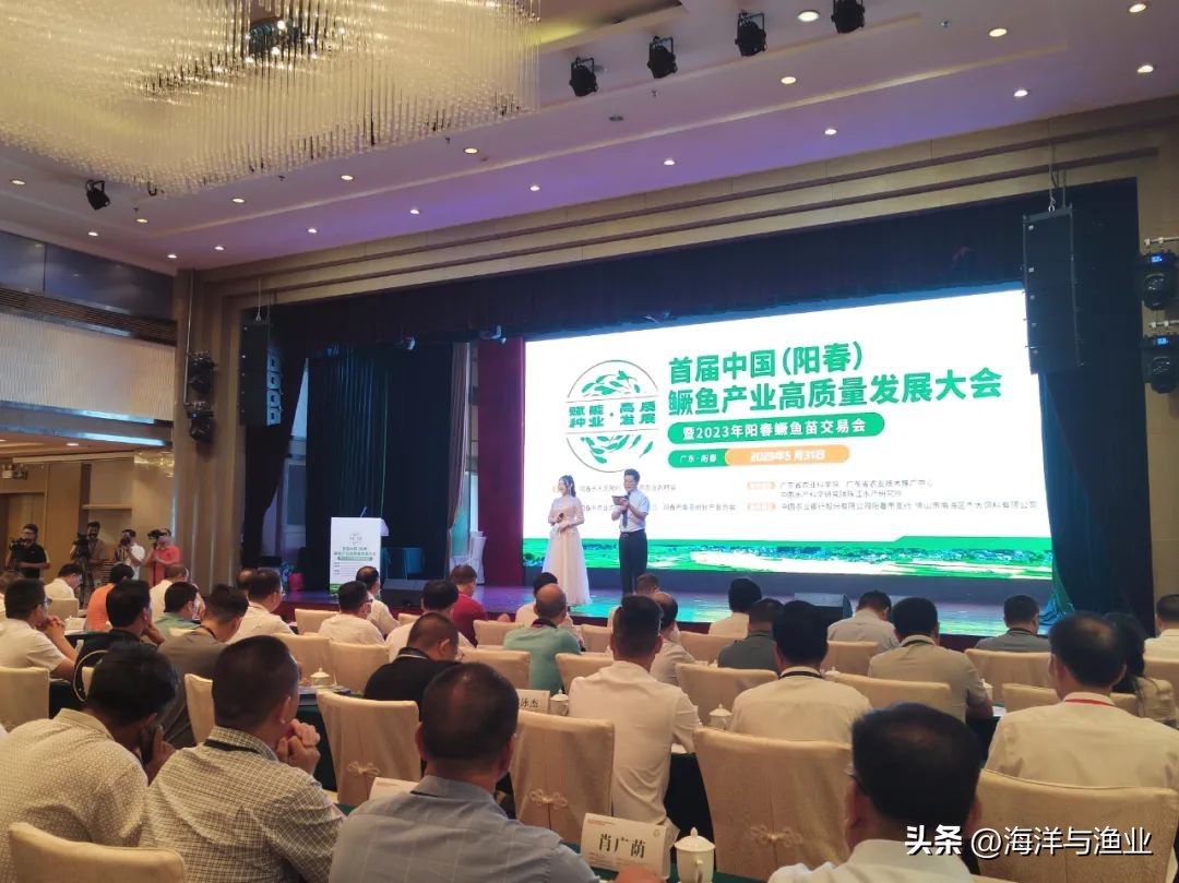 850 million! Yangchun mandarin fish "swim" to the four seas! - iNEWS