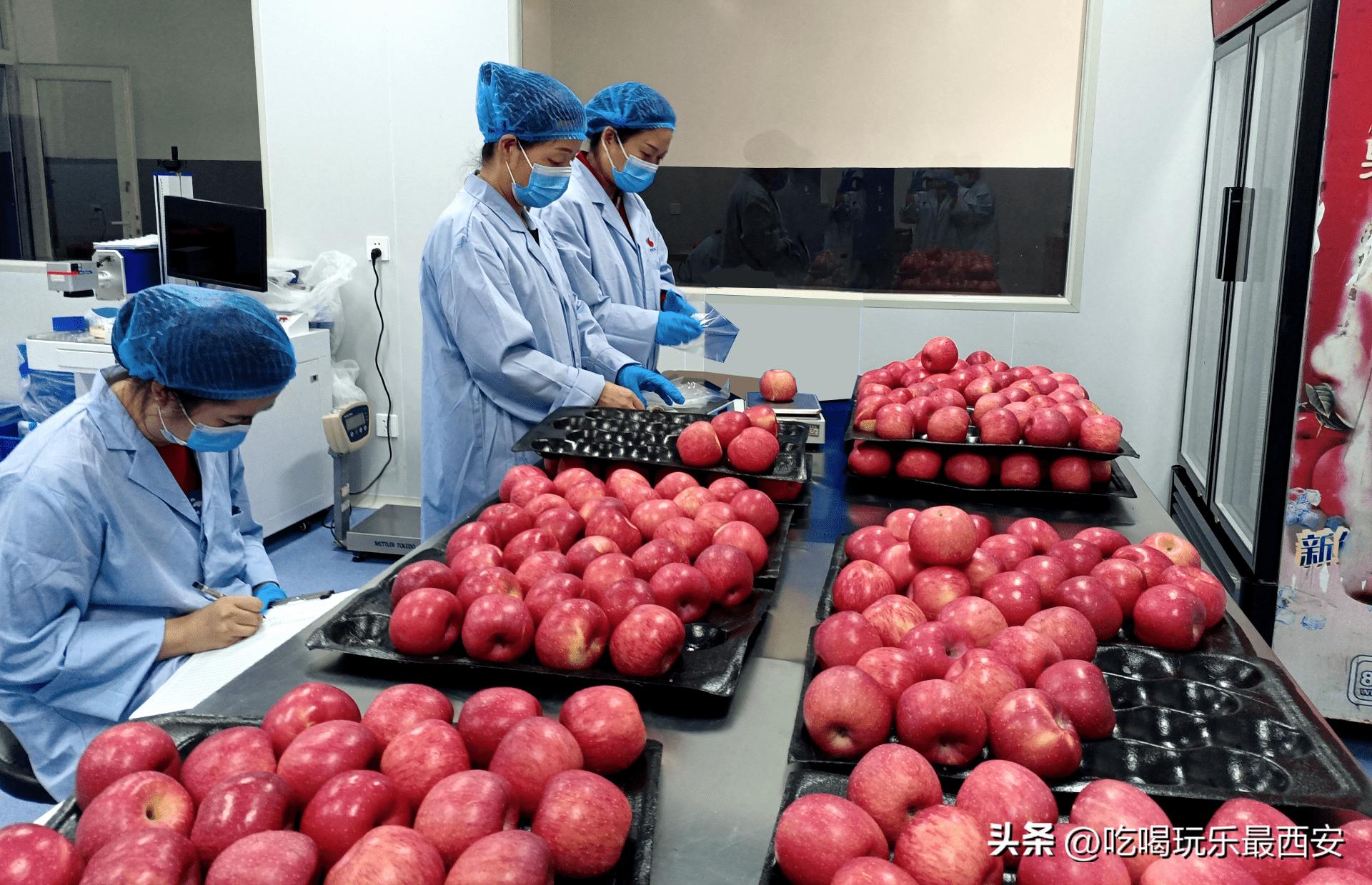 The "strongest courier" Tianzhou 5 delivered fresh Yan'an apples to the ...