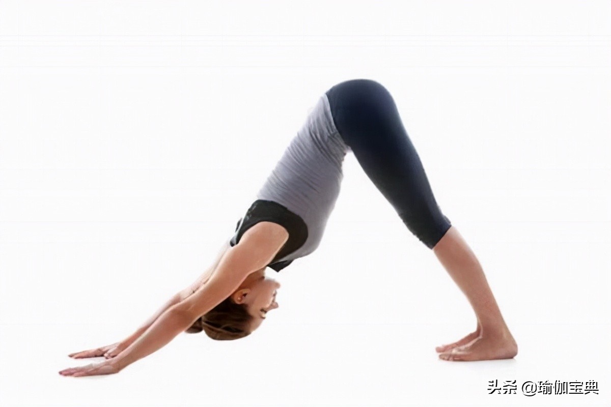 Bend without breaking: 10 basic yoga poses to increase physical, mental ...