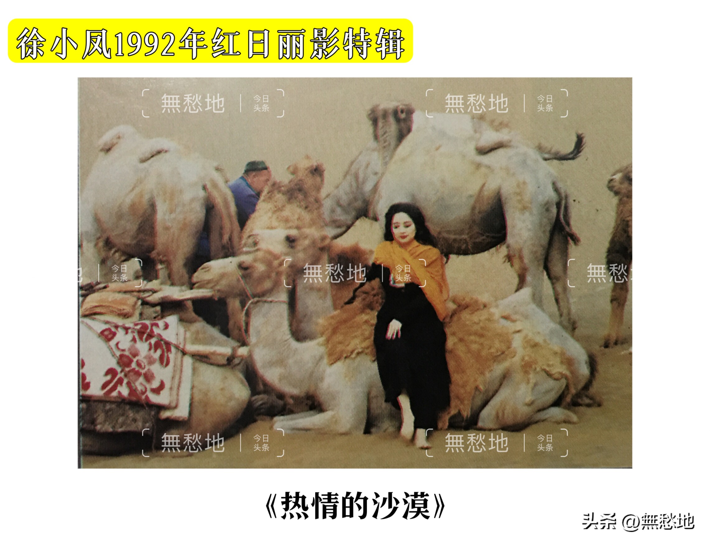 Red sun and beautiful shadow Xu Xiaofeng - iNEWS