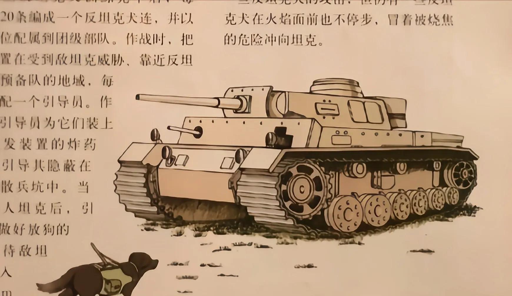 The Soviet Army used dogs to blow up tanks-too cruel - iNEWS