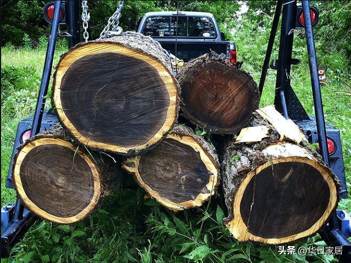 How to choose black walnut furniture?One article teaches you to ...