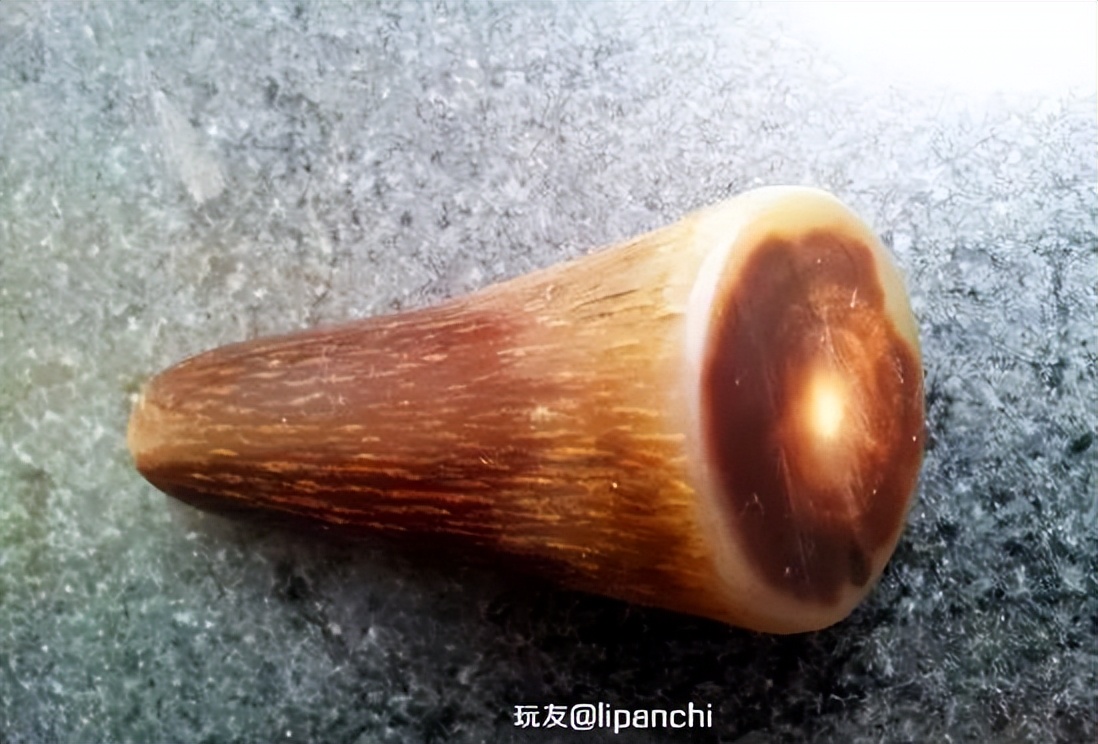 The coiled yak horns are so beautiful! - iNEWS