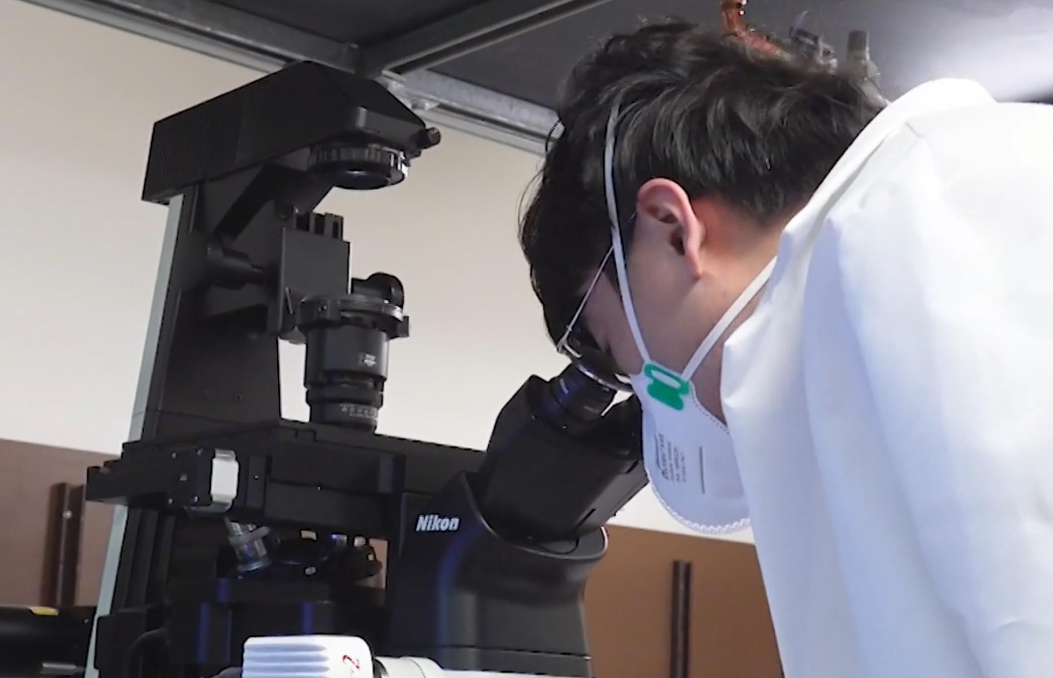 Human Gospel: Future surgical micro-nano robots roam the human body to ...