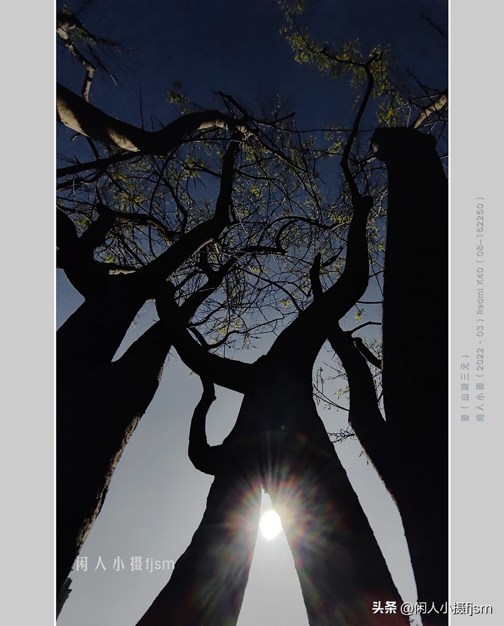 Talking about mobile phone photography (16) Backlight photography of ...