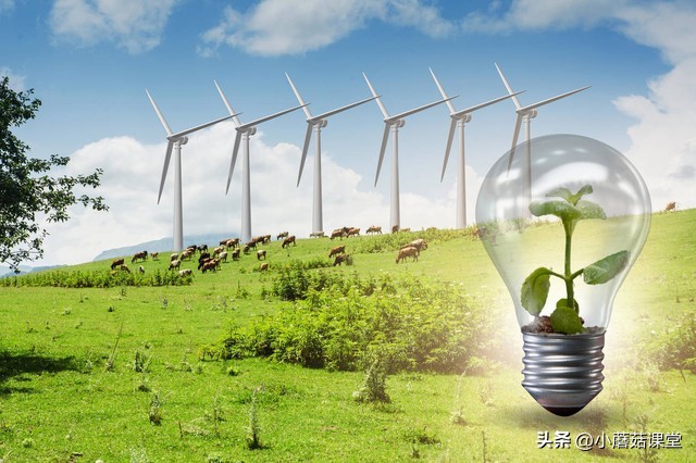 Technological greening: plant robots, the technological power of ...