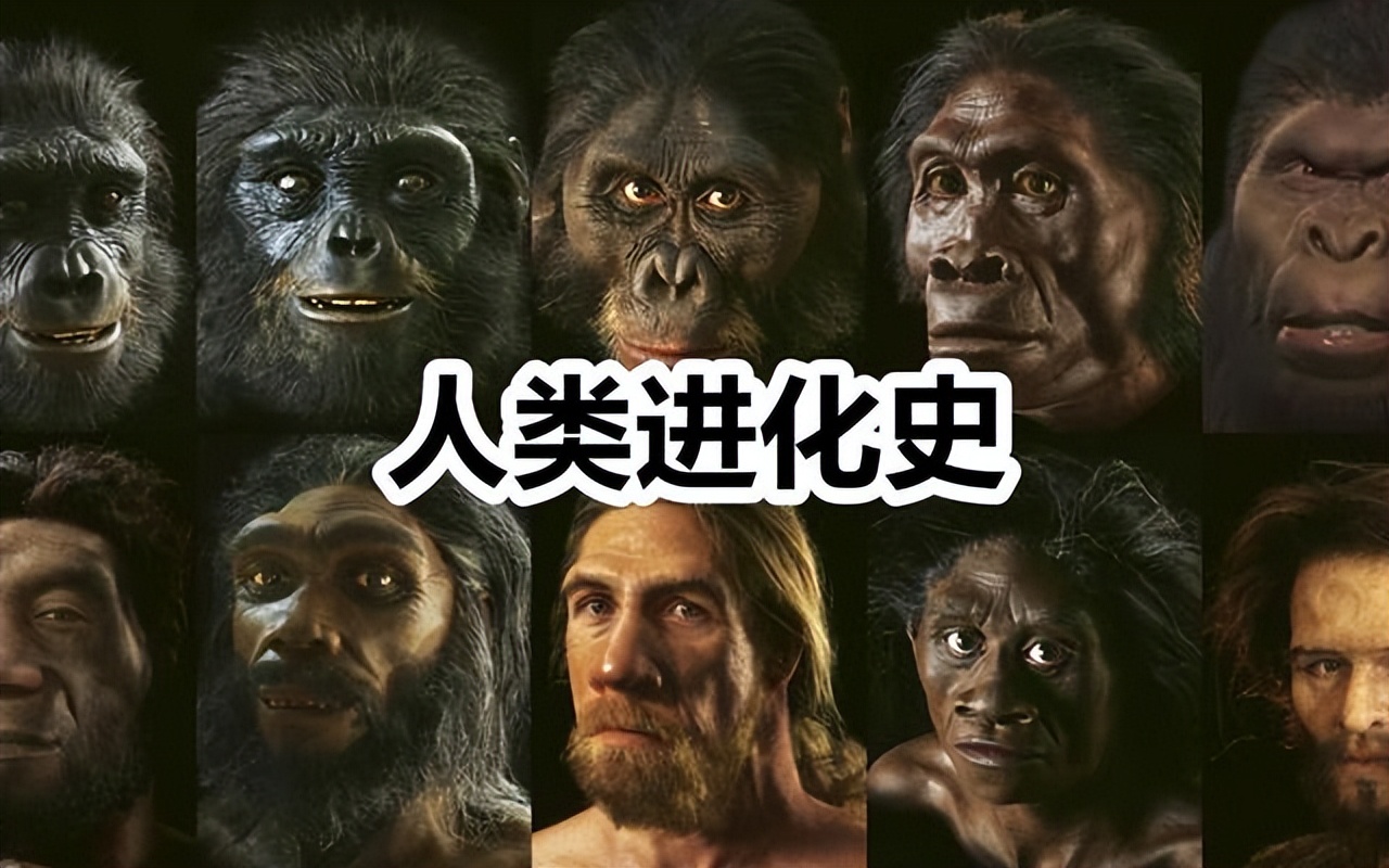 They are also human beings, why do Easterners and Westerners have ...