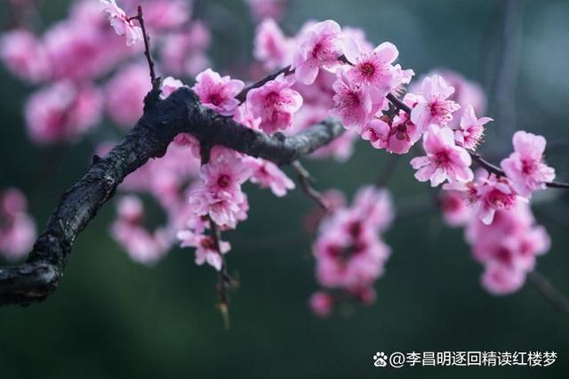 Unforgettable meaning - spring memory - iNEWS