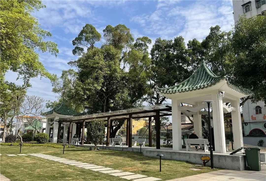 Come to Xinxing and feel the green life! - iMedia