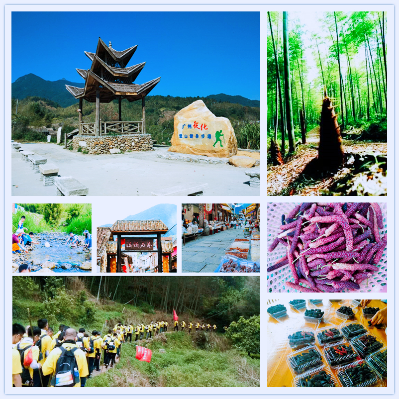 Conghua expanded spring tour in April, digging bamboo shoots in bamboo ...