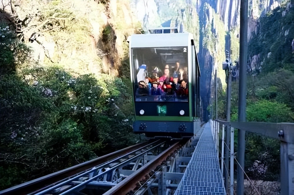 Is it worth going on the Internet Celebrity train that has exploded in ...