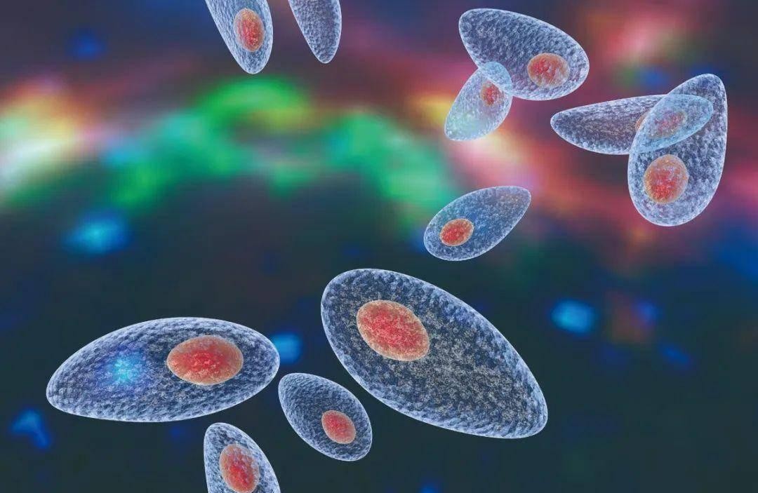 Fighting poison with poison: Pathogens vs. cancer cells - iNEWS