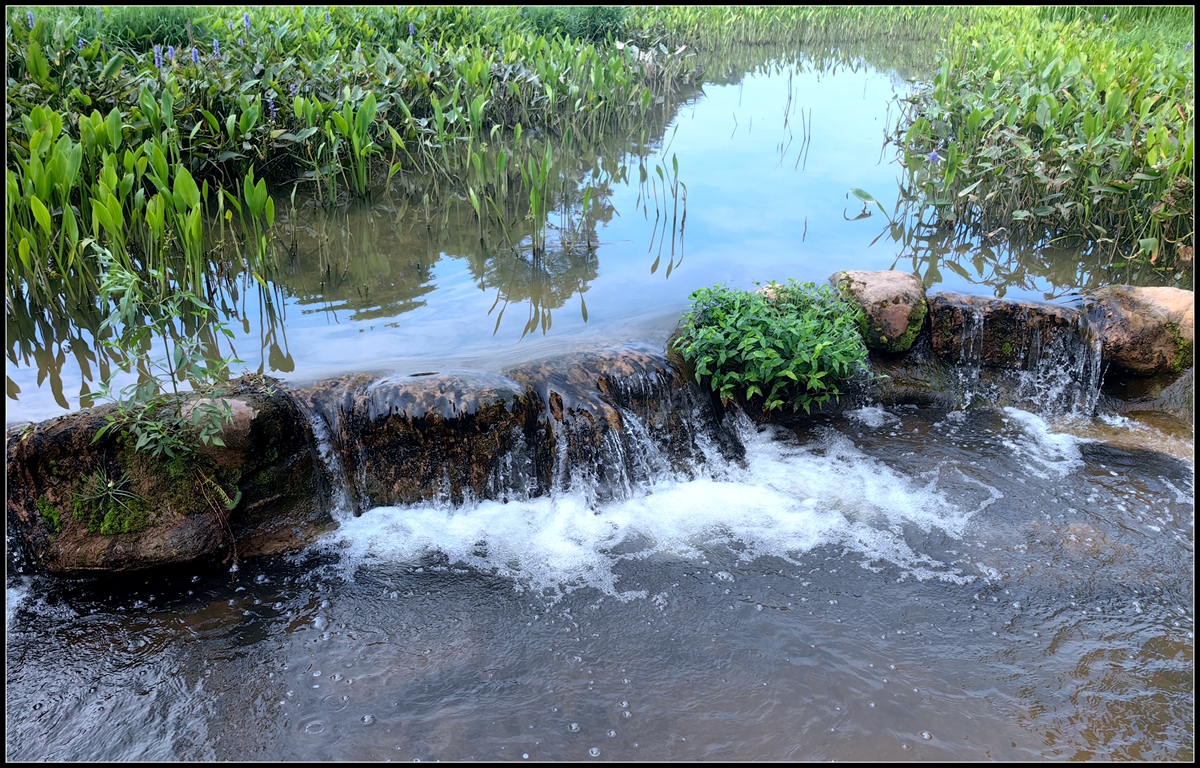 Talking about Hakka dialect as "living fossil of ancient Chinese" from ...