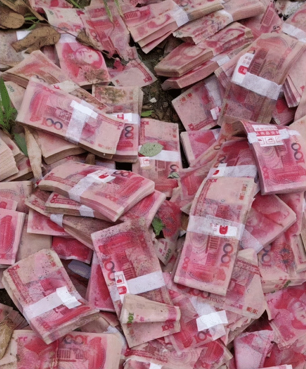Does money being a good thing really solve all real problems? - iNEWS