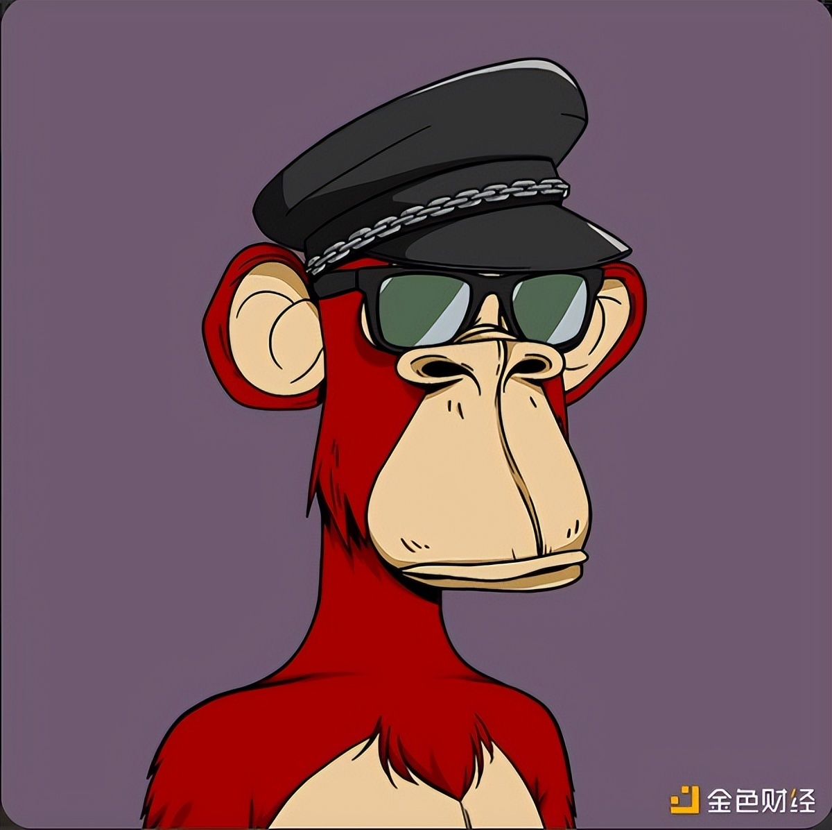 Your Favorite Celebrity and His Expensive Monkeys - iNEWS