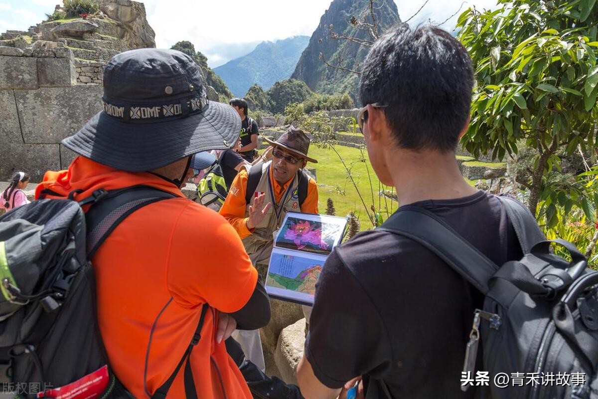 The tour guide is in a hurry! Earn back a year's income in three months ...