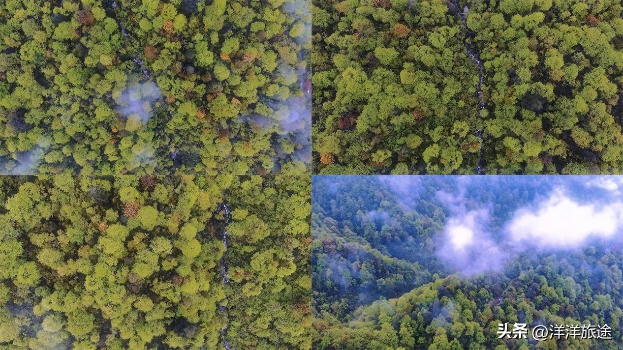 UAV aerial photography technology guide: how to shoot a more perfect ...